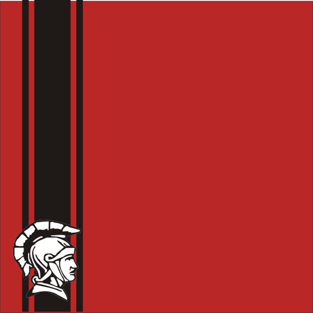 B2L17P4 12" x 12" PAPER CUSTOMIZE YOUR COLOR